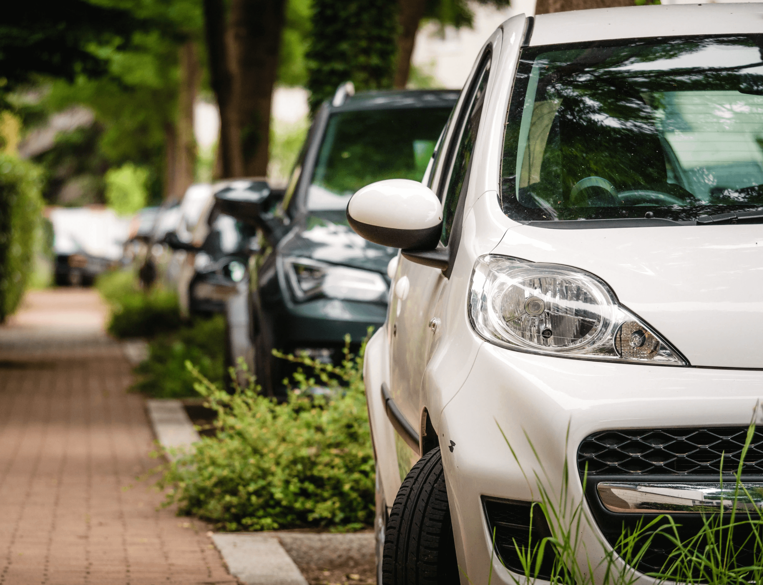 autobernard.com : achat de voitures neuves et d'occasion dans nos ...